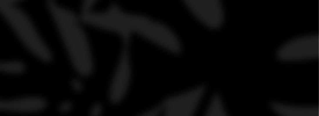 Where To Buy – Toucan Cocktails